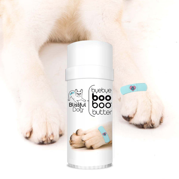 1 Dog Bye Bye Boo Boo Butter – Norfie