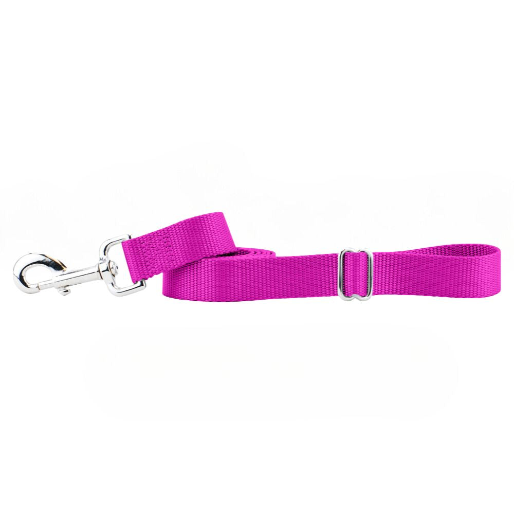 Raspberry Nylon Dog Leash – Norfie