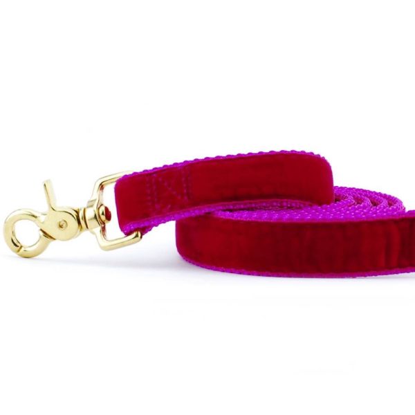 Raspberry Velvet Dog Leash – Norfie